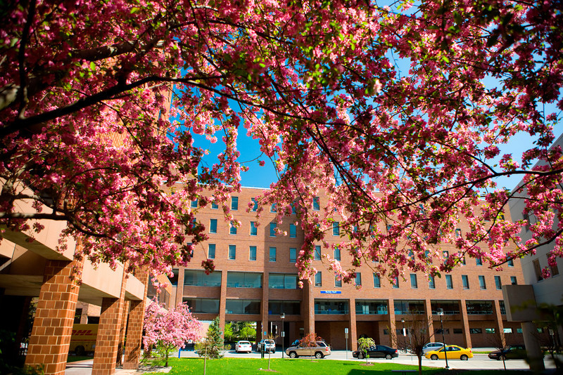 University Partners | Integrity Partners for Behavioral Health